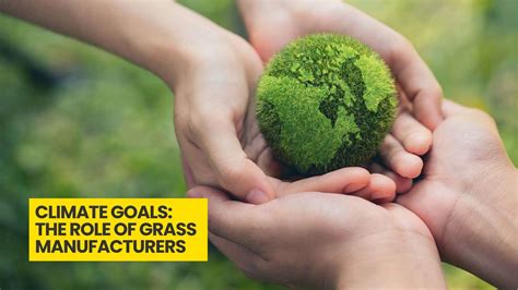 Yardex Artificial Grass Manufacturer And Distributor