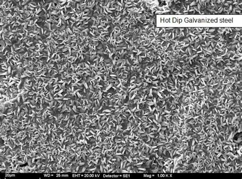 Figure A114 Phosphate Layer Sem Analysis Zeiss Evo Ma 10