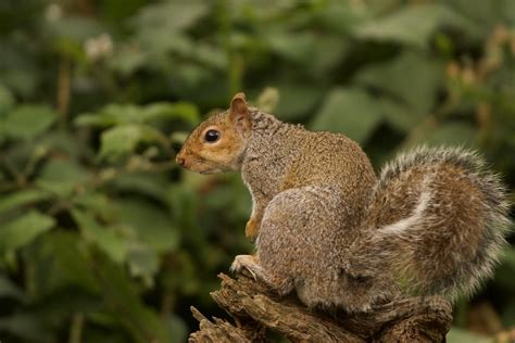 1a05b4b6 Cb1e 4877 9444 2e6c58997e1e 1 100 O Jim Wakefield Flickr