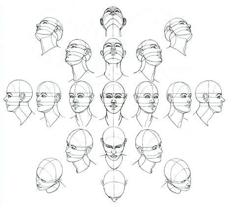 How To Draw Heads From Different Angles Drawing Word Searches