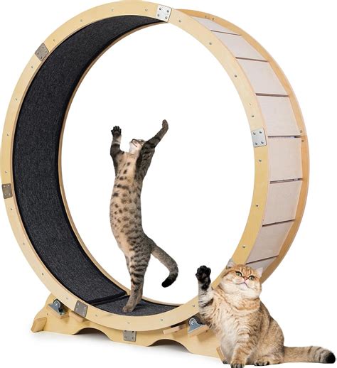 43“cat Wheel Exerciser For Indoor Cats Easy To Build Cat Treadmill Wheel Maple Wood