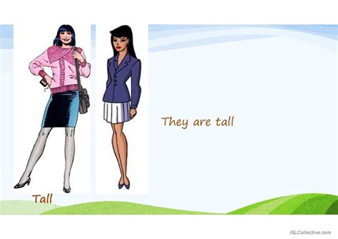 Adjetives General Grammar Practice English Esl Powerpoints