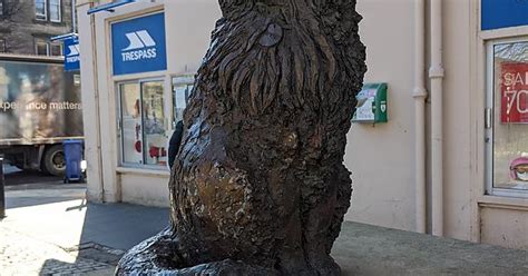 Hamish Mchamish The Town Cat In St Andrews Scotland Immortalised In