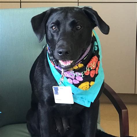 Lisa Frederick Youtube