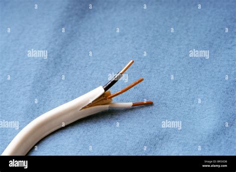 Romex Electrical Wire Color Code At Lauren Brennan Blog