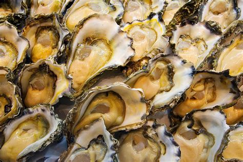 Behold The Many Wonders Of The Oyster The Sex Crazed Champion Of The