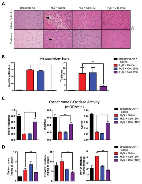 Cobinamide Is Effective For Treatment Of Hydrogen Sulfideinduced