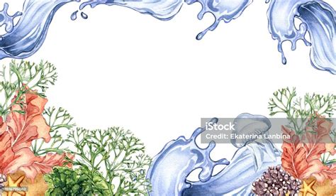 다채로운 바다 식물 수채화 그림이 흰색으로 분리되어 있다 붉은 포르피라 스플래시 산호 코듐 해파리 손으로 그렸습니다 패키지 라벨 배너 해양 컬렉션을 위한 디자인 요소 0명에