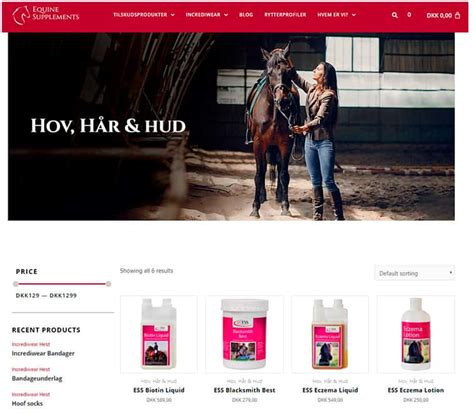 Ecommerce Web Development Company Singapore