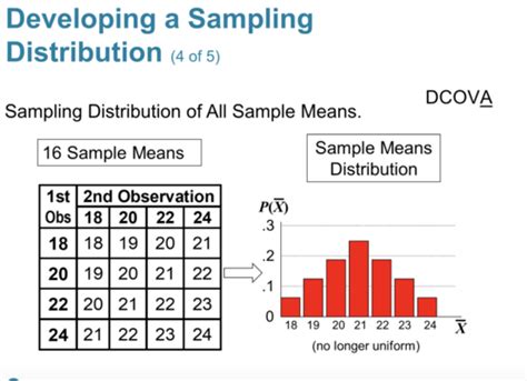 Chapter 7 Statistic Flashcards Quizlet