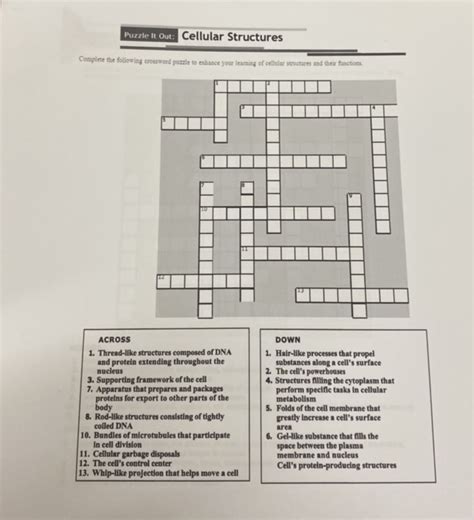 Puzzle It Out Cellular Structures Complete StudyX