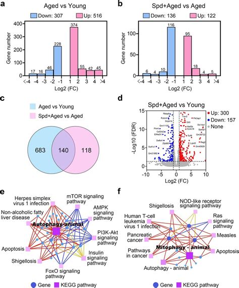 Supplementary Transcriptome Data A The Number Of Degs That Were Download Scientific Diagram