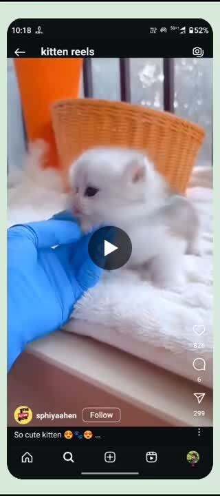 Flutter App For Instagram Video Download Dineshkumar S Posted On The