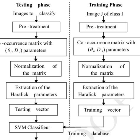 Presentation Of The Classification Algorithm Download Scientific Diagram
