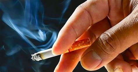 ៧ យ៉ាង ដែល មិន គួរ ធ្វើ ក្រោយ អាហារ ពេល ល្ងាច ដើម្បី ចៀស វាង ការ ឈឺ ក្រពះ និង ជំងឺ ផ្លូវ រំលាយ