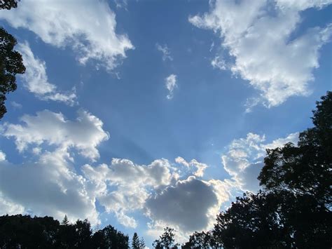 取り返しのつかないことを取り返したかったら、今後、目の前のことから逃げないこと。 それしかない。