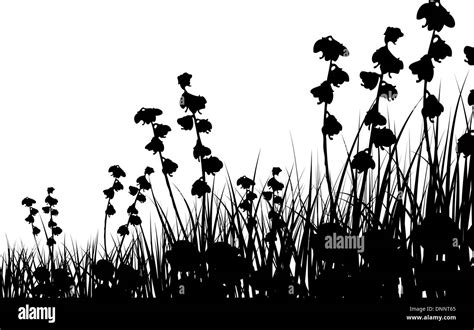 Vector Grass Silhouettes Background For Design Use Stock Vector Image