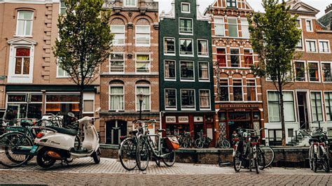 Ibc 2024 Octopus Newsroom