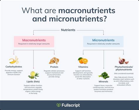 Pin By Brenda Lay On Minerals🏅礦物質 Micronutrients Macronutrients Nutrition