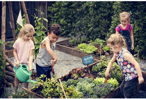 Publications Healthy Families New