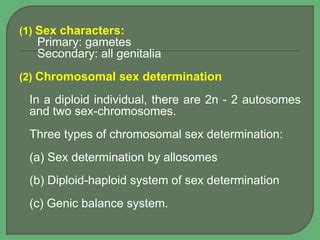 Sex Determination PPTX