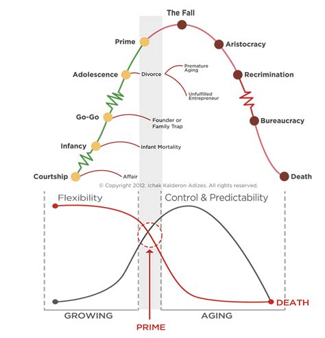 Mutual Trust And Respect Adizes Institute Latvia