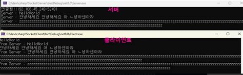 C Tcp Ip Socket 프로그래밍 하기2