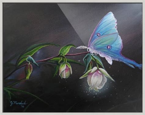 Fairy Lanterns Glow By Joe Mandrick Fairy Lanterns Glowing Art