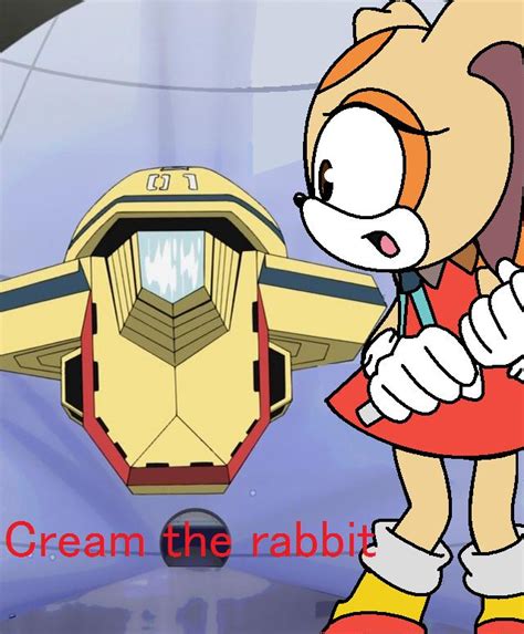 Amy Rose To Cream The Rabbit By Alenoemoi On Deviantart