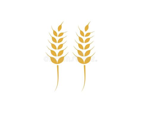 Trigo Logo Template Da Agricultura Ilustração Do Vetor Ilustração De