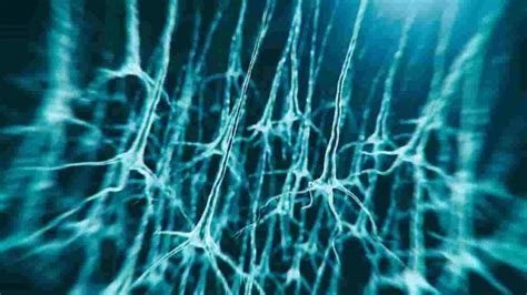 Cognitive Adaptability Has A Close Connection With Adult Neurogenesis