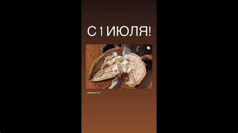 Nataliya Ignatenko Baolife Youtube