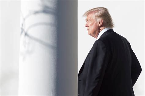 Reality Check Many Of Trumps Early Vows Will Probably Never Happen