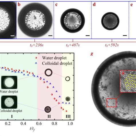 Pdf Self Assembly Of Ordered Microparticle Monolayers From Drying A