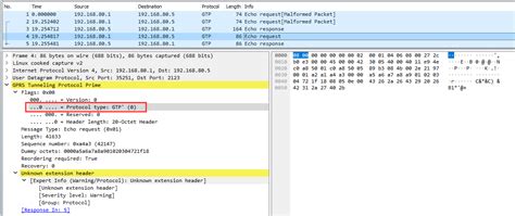 gtpdoor a novel backdoor tailored for covert access over the roaming