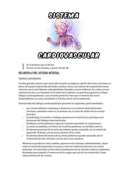 SISTEMA CARDIOVASCULAR EMBRIOLOGÍA Fiorela Morgenstern uDocz
