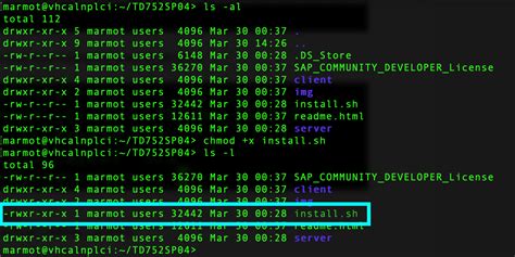 Qemu And Sap Dev Edition Via Utm For Macbook M1