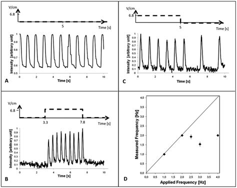 Experimental Validation Of Morphometric Analysis A Morphometric