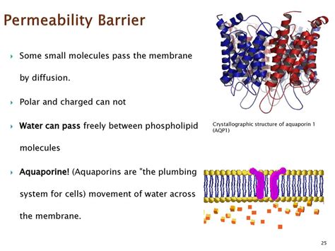 General Microbiology Bio Ppt Download