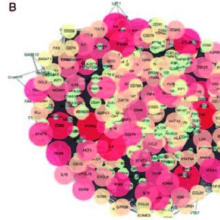 The Histogram Heat Map And Violin Map Of Immune Cell Analysis Between