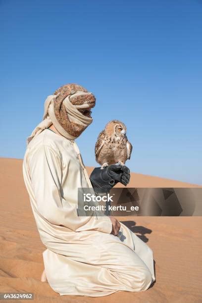 젊은 남성 파라오 독수리 올빼미 두바이 아랍 에미리트에서 사막 매 사냥 쇼 중 갈고리 발톱에 대한 스톡 사진 및 기타 이미지 Istock