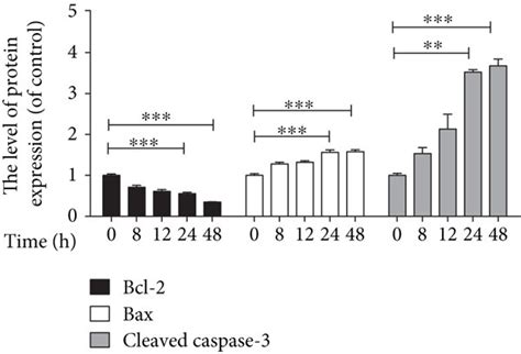 High Glucose Suppresses Cell Viability And Promotes Apoptosis In