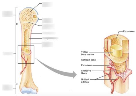 Diagram Of Diagrams Test 1 Quizlet