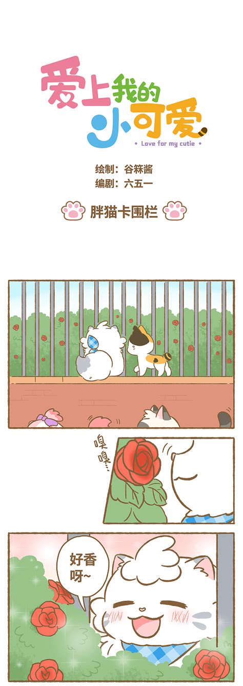 《爱上我的小可爱》第21话 胖猫卡围栏天萌台 站酷zcool