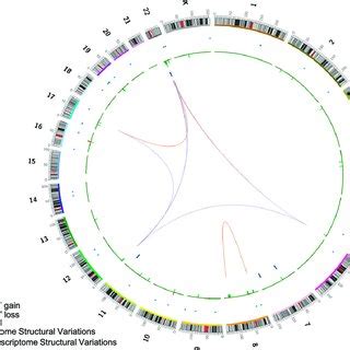 Circos Plot Showing The Genomic Landscape From Outer Circle
