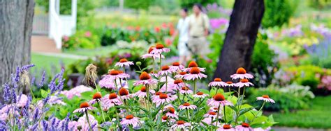 6 Landscaping Ideas To Beautify Your Front And Back Yard Sweepsouth