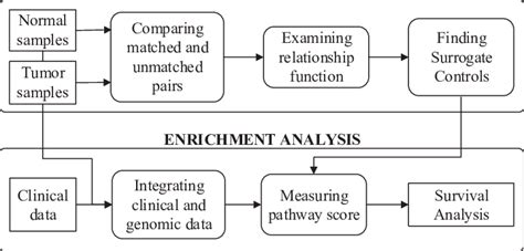 Illustration Of Finding Surrogate Controls To Be Used In Pathway Download Scientific Diagram