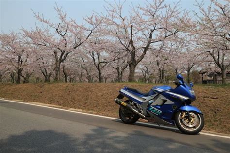 カメラ 写真 撮影 龍飛竜飛龍泊ライン あじさいロード 十三湖 鯵ヶ沢 2015年