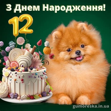 Привітання з Днем Народження хлопчику 12 років читати онлайн
