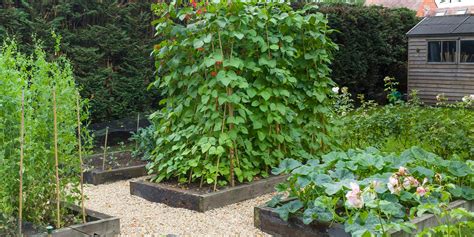 Why Crop Rotation Is Essential Living Color Garden Center